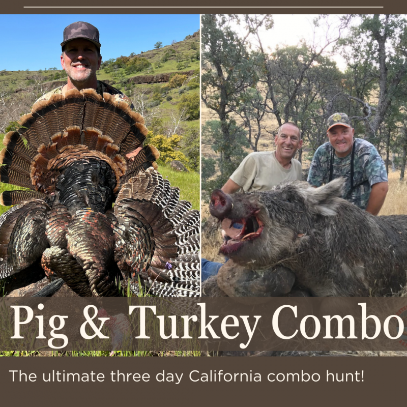 Pig and Turkey Combo – Western Wildlife